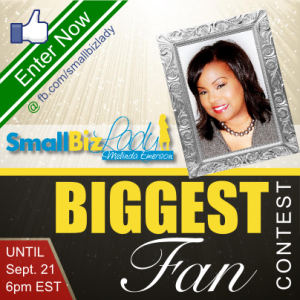 SmallBizLady’s Biggest Fan Contest » Succeed As Your Own Boss