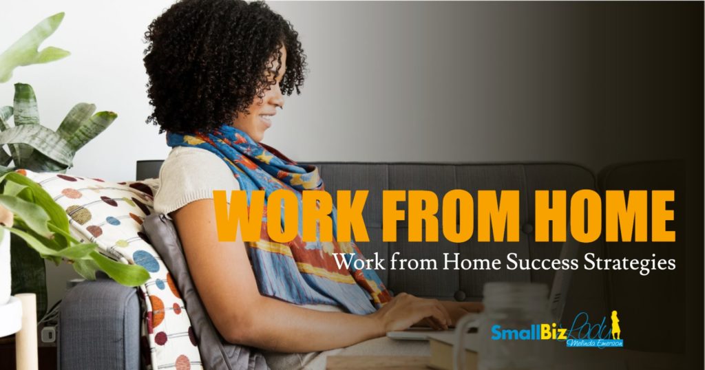 Work from Home Success Strategies » Succeed As Your Own Boss