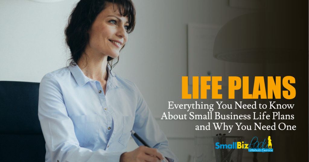Everything You Need to Know About Small Business Life Plans and Why You ...